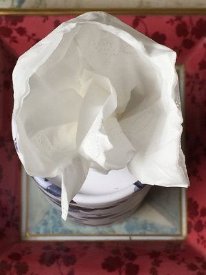 Tishoo Tissues for the Boutique Chic Generation - Gentlemans Butler