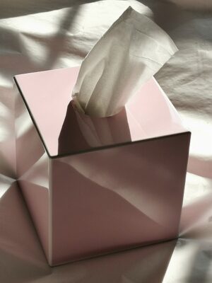 The perfect pink tissue box - Gentlemans Butler